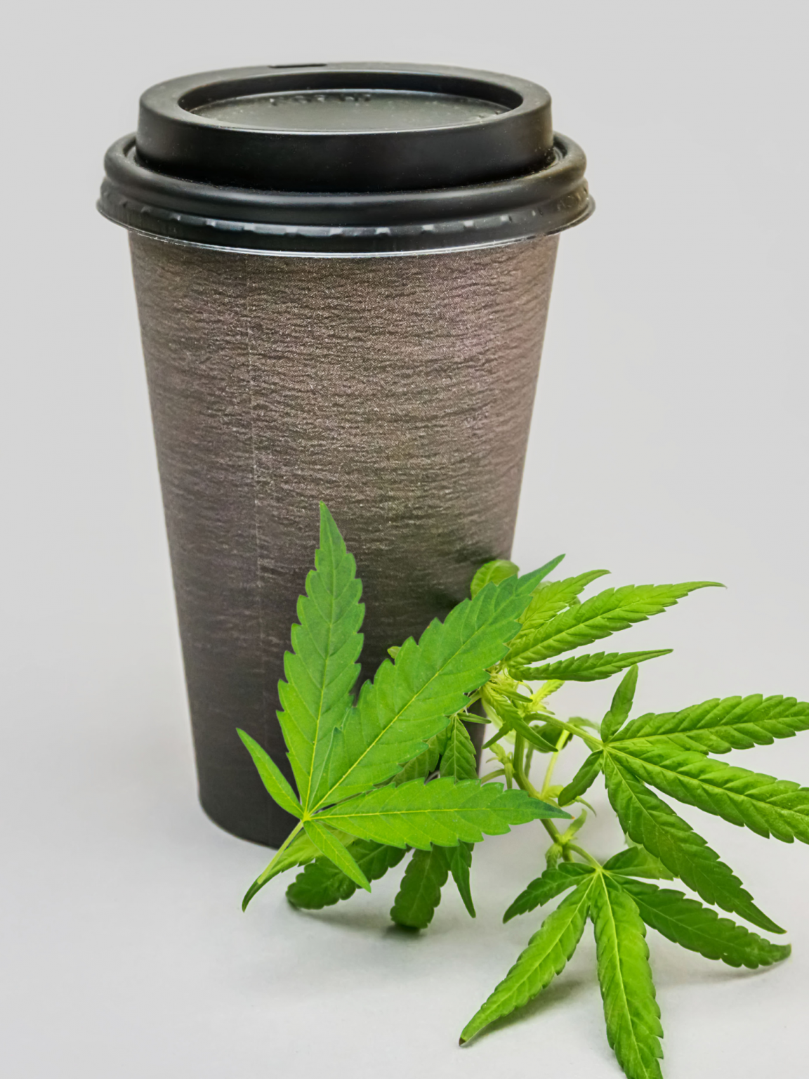 Cannabis and CBD Infused Coffee: Recipe and Benefits | Ontario THC Delivery